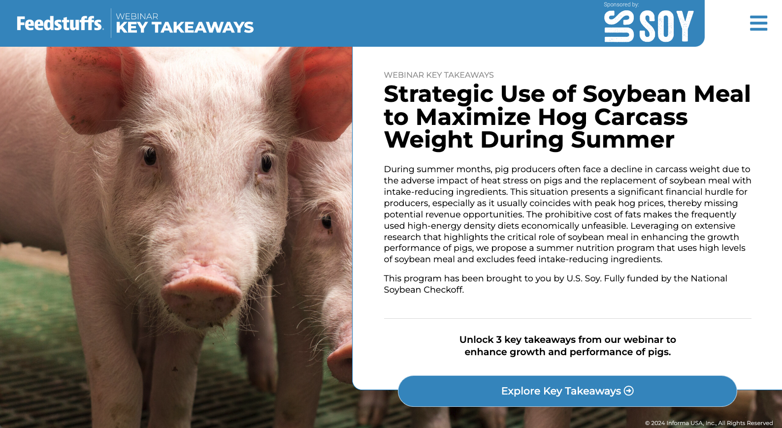 Soybean Meal for Summer Hog Growth